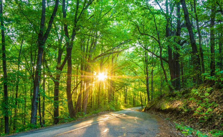 Discover Itawamba - Discover Itawamba County